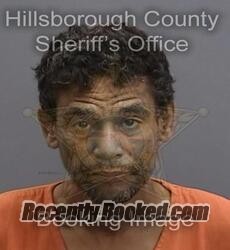 Recent Booking / Mugshot for FREDDIE ECHEVARRIA in Hillsborough County, Florida