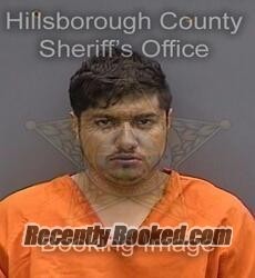 Recent Booking / Mugshot for JOSE GONZALO FLORES ARANA in Hillsborough County, Florida
