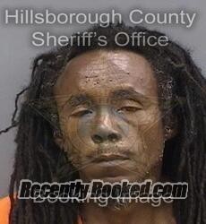 Recent Booking / Mugshot for JERRELL JUMOKE ROBINSON in Hillsborough ...