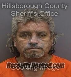 Recent Booking / Mugshot for LUIS ENRIQUE MESA GARCIA in Hillsborough County, Florida