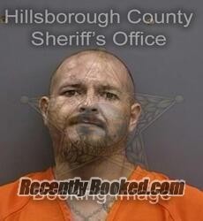 Recent Booking / Mugshot for BRANDON TAYLOR PUGA in Hillsborough County ...