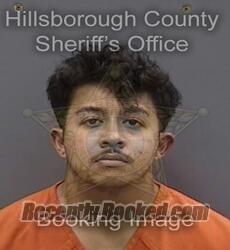 Recent Booking / Mugshot for MATTHEW ROJAS in Hillsborough County, Florida