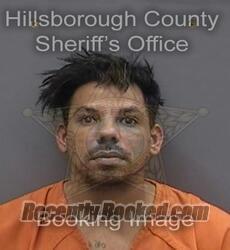 Recent Booking / Mugshot for DANNIER TAMAYO DEL RIO in Hillsborough ...