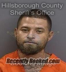 Recent Booking / Mugshot for RAMON ROQUE in Hillsborough County, Florida