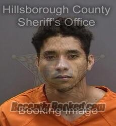 Recent Booking / Mugshot for JOSE MIGUEL CAMBA TORNES in Hillsborough ...