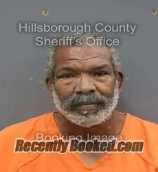 David Clemente Mugshot & Arrest Info | Hillsborough County, FL