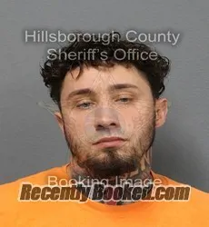 Robert Allen Ii Holliday Mugshot & Arrest Info | Hillsborough County, FL