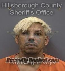 Recent Booking / Mugshot for DANNIER TAMAYO DEL RIO in Hillsborough ...