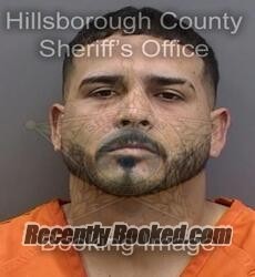 Recent Booking / Mugshot for EDWIN SANCHEZ DELGADO in Hillsborough ...