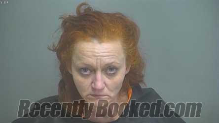 Recent Booking / Mugshot for AMY LOUISE KNISLEY in Amherst County, Virginia