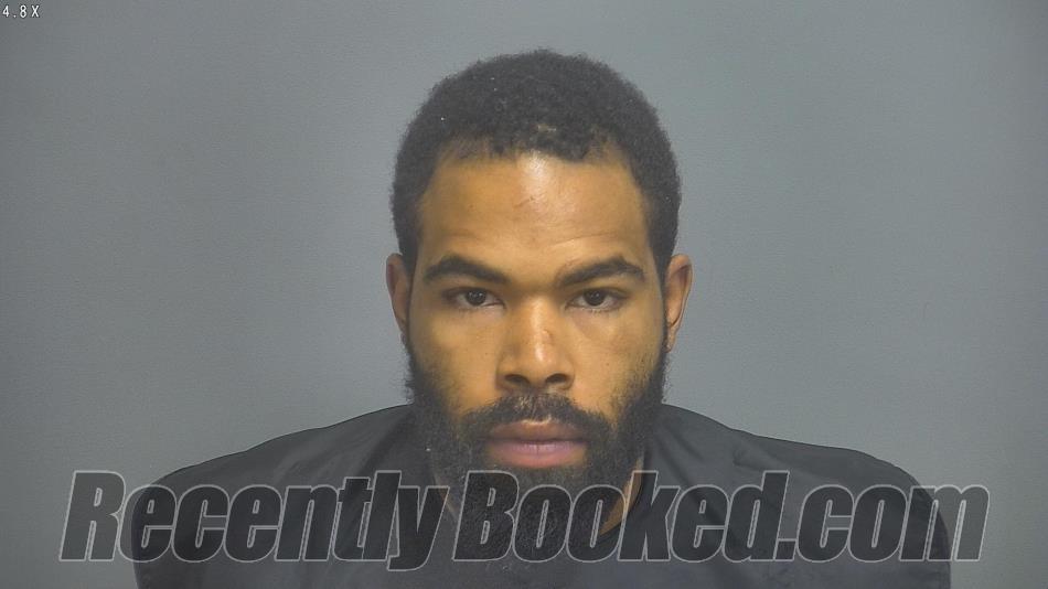 Recent Booking / Mugshot for BRONSON KEITH ROBINSON in Amherst County ...