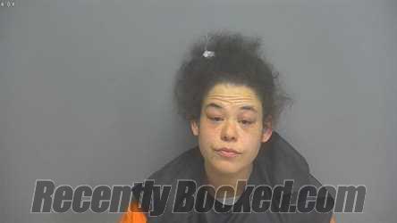 Recent Booking / Mugshot for DOMINIQUE GABRIELLE PANKEY in Amherst ...