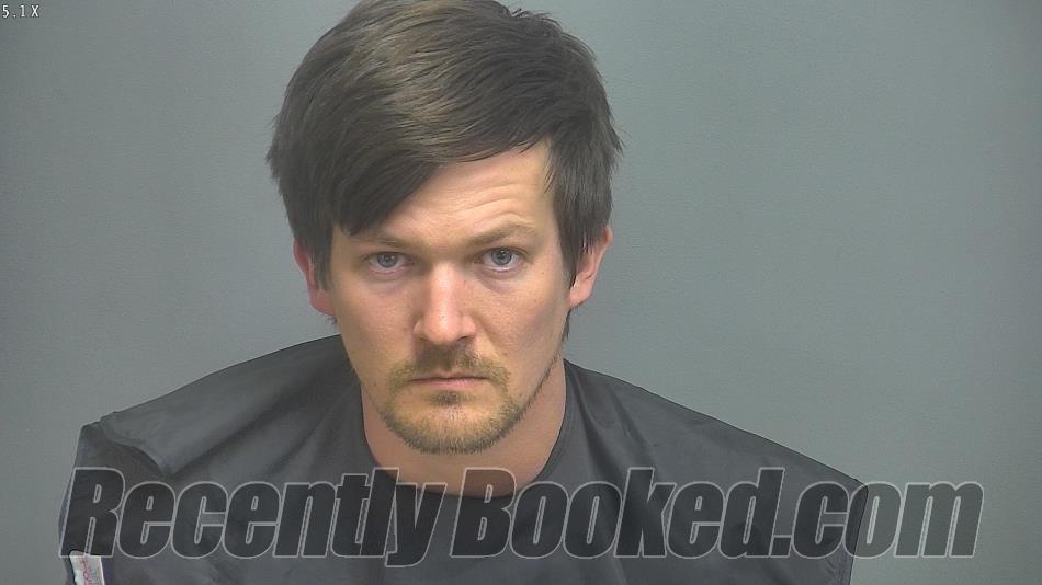 Recent Booking / Mugshot for DAVID A SHELTON in Amherst County, Virginia