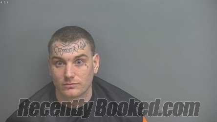 Recent Booking / Mugshot for JOHN RAY HALTERMAN in Amherst County, Virginia