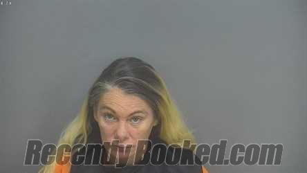 Recent Booking / Mugshot for LISA MARION NELLIGAN in Amherst County ...
