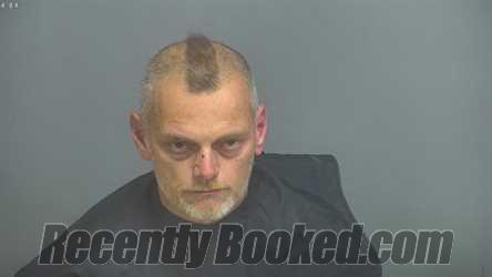 Recent Booking / Mugshot for MICHAEL WAYNE HARRIS in Amherst County ...