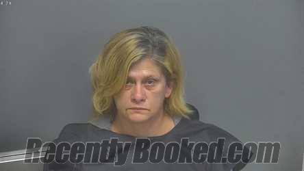 Recent Booking / Mugshot for PENNY LYNN HASKINS in Amherst County, Virginia