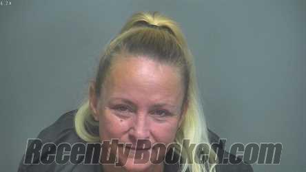 Recent Booking / Mugshot for PATRICIA ROSE STRICKLAND in Amherst County ...
