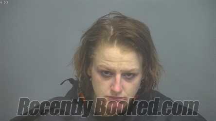 Recent Booking / Mugshot for SARAH JOY DAILY in Amherst County, Virginia