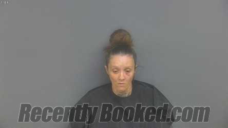 Recent Booking / Mugshot for SHERYL LYNNE LAYNE in Amherst County, Virginia