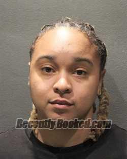 Recent Booking / Mugshot for APRIL ALEXANDRIA HENSON in Arlington ...