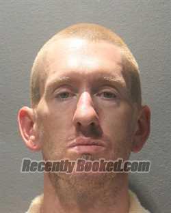 Recent Booking / Mugshot for MICHAEL HOLLADY PUZAN in Arlington County, Virginia