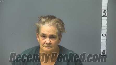 Recent Booking / Mugshot for MELISSA GALE ISAACSON in Augusta County ...