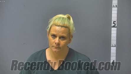 Recent Booking / Mugshot for ERICA NICOLE FORBUS in Augusta County ...