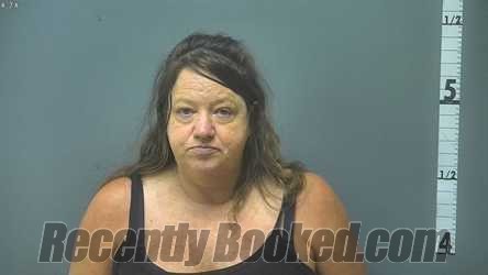LISA RENEE TURNER Arrest Record & Booking Info – Augusta County ...
