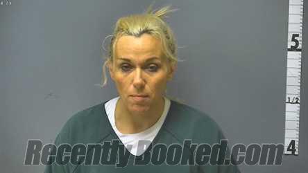 Recent Booking / Mugshot for BRANDI NICOLE FLICK in Augusta County ...