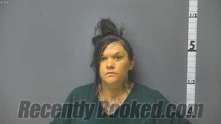 Recent Booking / Mugshot for BRITTANY KAY HARRIS in Augusta County ...
