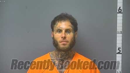 BRANDYN THOMAS LONG Arrest Record & Booking Info – Augusta County ...