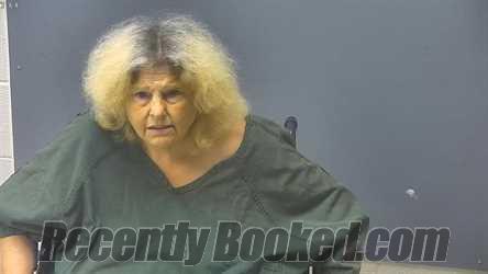 Robin Elaine Houser Mugshot & Arrest Info | Augusta County, VA