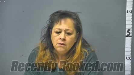 Recent Booking / Mugshot for TISHA JEANINE PHILLIPS in Augusta County ...