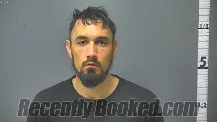 Recent Booking / Mugshot for TYLER MICHAEL WRIGHT in Augusta County ...