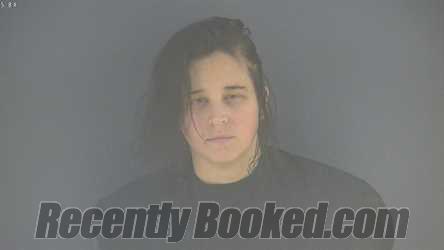 Recent Booking / Mugshot for ALLIE GRACE SHEPHERD in Bedford County ...