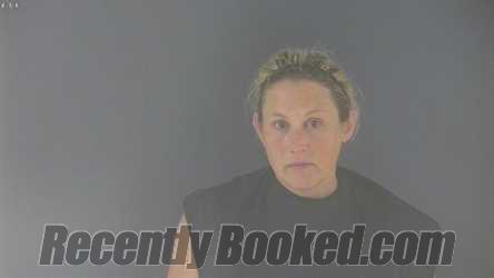 Recent Booking / Mugshot for KEELY JANAYA MILLER in Bedford County ...