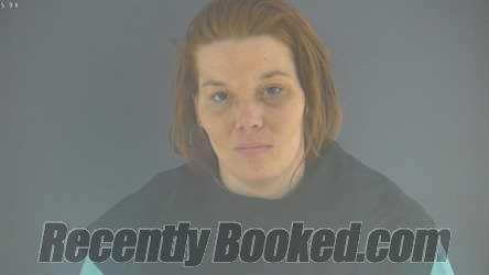 Recent Booking / Mugshot for MARY ELIZABETH LILLEY in Bedford County ...
