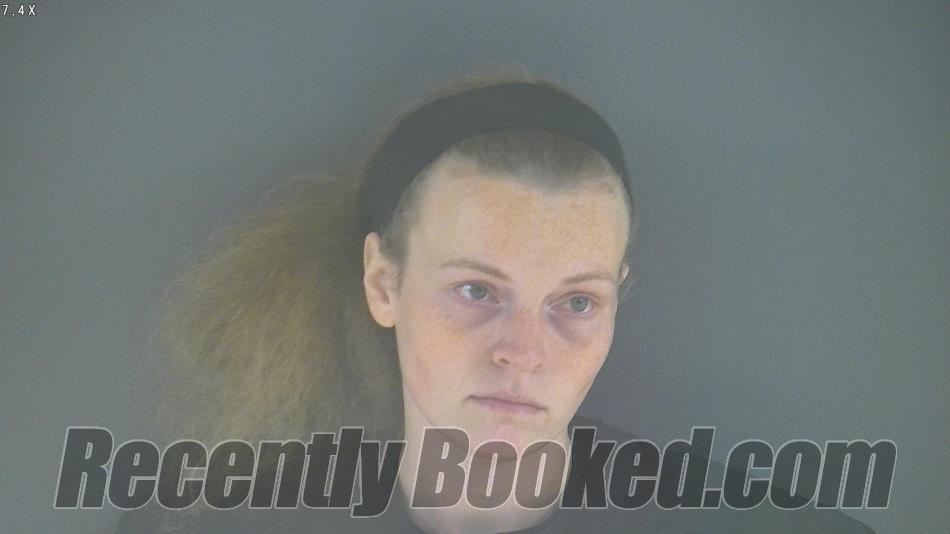 Recent Booking / Mugshot for RAVEN NICOLE ADKINS in Bedford County ...