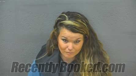 Recent Booking / Mugshot for TIFFANY NICOLE MAYHEW in Bedford County ...