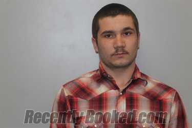 Recent Booking / Mugshot for Dillan Lee Elam in Buchanan County, Virginia