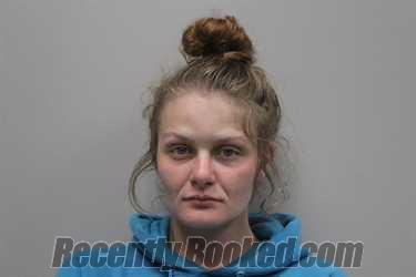 Recent Booking / Mugshot for Hannah Jade Briscoe in Buchanan County ...