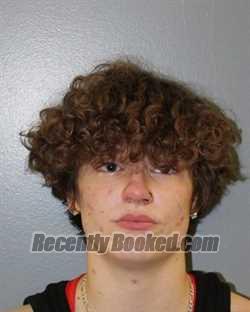 Recent Booking / Mugshot for Isabelle Grace Gillespie in Buchanan ...