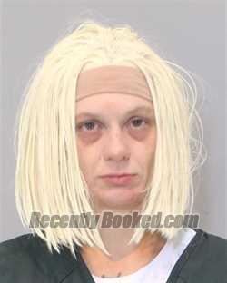 Recent Booking / Mugshot for MELISSA DAWN CHATHAM in Charles City ...