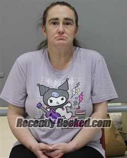 Recent Booking / Mugshot for AMANDA LEEK in Charles City County, Virginia