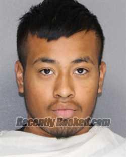 Recent Booking / Mugshot for ANDERSON DANIEL MOUTON in Ellis County, Texas