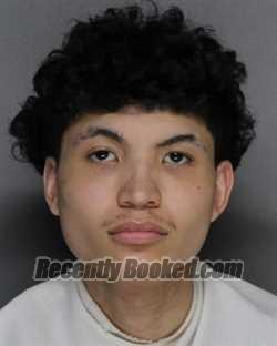Recent Booking / Mugshot for ANTHONY IVAN RODRIGUEZ in Ellis County, Texas