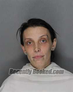 ALYSSA BROOKE HAMILTON Arrest Record & Booking Info – Ellis County ...