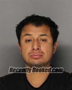 Recent Booking / Mugshot for EMERSON EUGENE GONZALEZ in Ellis County, Texas