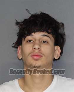 Recent Booking / Mugshot for ELIJAH LUNA in Ellis County, Texas